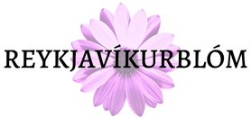 Roses – Reykjavíkurblóm